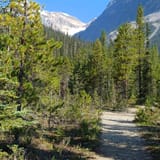 Yoho Pass - Yoho Lake, British Columbia, Canada - 302 Reviews, Map ...