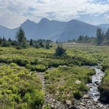 Sunshine Meadows, Alberta, Canada - 337 Reviews, Map | AllTrails