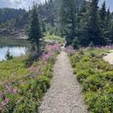 Sunshine Meadows, Alberta, Canada - 337 Reviews, Map | AllTrails