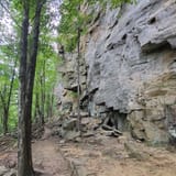Foster Falls Climbers Loop Trail, Tennessee - 2,081 Reviews, Map ...
