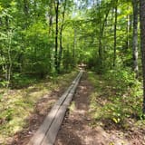 Foster Falls Climbers Loop Trail, Tennessee - 2,081 Reviews, Map ...