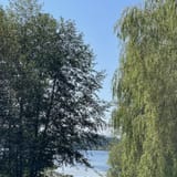 Killarney Lake Loop , British Columbia, Canada - 349 Reviews, Map ...