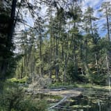 Killarney Lake Loop , British Columbia, Canada - 408 Reviews, Map ...
