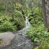 Two Lakes Trail, Alaska - 550 Reviews, Map | AllTrails