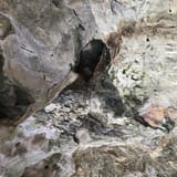 Community Caves Trail, South Dakota - 620 Reviews, Map | AllTrails