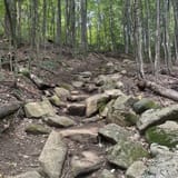 Mount Arab Trail, New York - 2,500 Reviews, Map | AllTrails