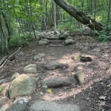Mount Arab Trail, New York - 2,494 Reviews, Map | AllTrails