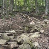 Mount Arab Trail, New York - 2,494 Reviews, Map | AllTrails