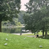 Mount Royal Park Loop, Quebec, Canada - 2,105 Reviews, Map | AllTrails