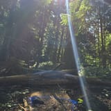 Fragrance Lake Trail, Washington - 3,209 Reviews, Map | AllTrails