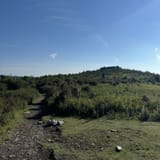 Massie Gap and Wilburn Ridge Loop, Virginia - 1,053 Reviews, Map ...