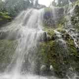 Proxy Falls Loop, Oregon - 1,344 Reviews, Map | AllTrails