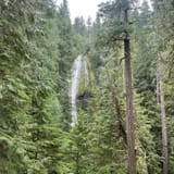 Proxy Falls Loop, Oregon - 1,344 Reviews, Map | AllTrails