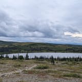 Curry Ridge Trail, Alaska - 1,129 Reviews, Map | AllTrails