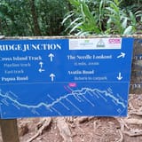 Cross Island Track and The Needle, Rarotonga, Cook Islands - 222 ...