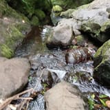 Cross Island Track and The Needle, Rarotonga, Cook Islands - 222 ...
