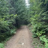 Kelly Butte Trail #1031, Washington - 1,005 Reviews, Map | AllTrails