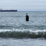 Damon Point State Park Trail, Washington - 509 Reviews, Map | AllTrails