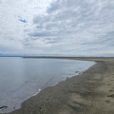 Damon Point State Park Trail, Washington - 513 Reviews, Map | AllTrails
