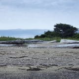 Damon Point State Park Trail, Washington - 509 Reviews, Map | AllTrails