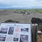 Damon Point State Park Trail, Washington - 513 Reviews, Map | AllTrails