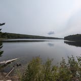 Grout Pond Trail, Vermont - 298 Reviews, Map | AllTrails