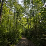 Grout Pond Trail, Vermont - 298 Reviews, Map | AllTrails