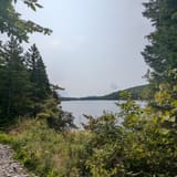 Grout Pond Trail, Vermont - 298 Reviews, Map | AllTrails