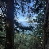 Point Defiance Park Outer Loop, Washington - 4,686 Reviews, Map | AllTrails