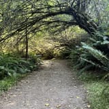 Point Defiance Park Outer Loop, Washington - 4,686 Reviews, Map | AllTrails
