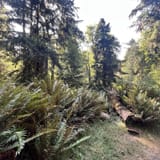 Point Defiance Park Outer Loop, Washington - 4,686 Reviews, Map | AllTrails