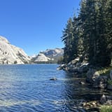 Tenaya Lake Trail, California - 558 Reviews, Map | AllTrails