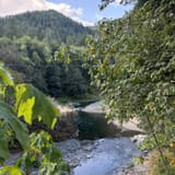 Wilson River Trail, Oregon - 822 Reviews, Map | AllTrails