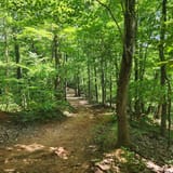 River and Matildaville Trail, Virginia - 1,013 Reviews, Map | AllTrails