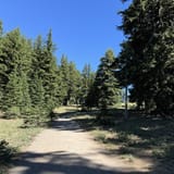 Sun Notch Trail, Oregon - 1,049 Reviews, Map | AllTrails