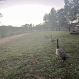 Cameron Park Lake Loop, California - 101 Reviews, Map | AllTrails