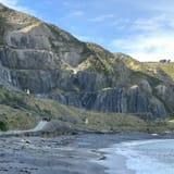 Red Rocks Coastal Walk, Wellington, New Zealand - 172 Reviews, Map ...