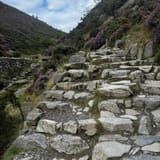 Long Mynd Circular, Shropshire, England - 1,251 Reviews, Map | AllTrails