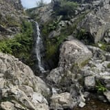 Long Mynd Circular, Shropshire, England - 1,251 Reviews, Map | AllTrails