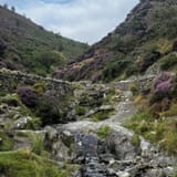 Long Mynd Circular, Shropshire, England - 1,251 Reviews, Map | AllTrails
