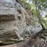 Raven Rock Loop Trail, North Carolina - 2,827 Reviews, Map | AllTrails