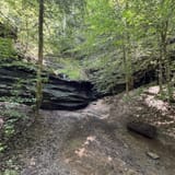 Raven Rock Loop Trail, North Carolina - 2,827 Reviews, Map | AllTrails