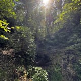 Raven Rock Loop Trail, North Carolina - 2,827 Reviews, Map | AllTrails