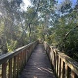 Sea Pines Forest Preserve, South Carolina - 900 Reviews, Map | AllTrails