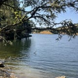 Bon Tempe Lake Loop, California - 2,083 Reviews, Map | AllTrails