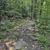 Western Ridge Trail to Overlook, New York - 852 Reviews, Map | AllTrails