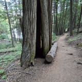 Bead Lake Trail, Washington - 755 Reviews, Map | AllTrails