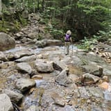 Little Haystack via Falling Waters Trail, New Hampshire - 1,915 Reviews ...