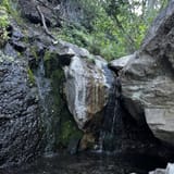 The Grotto in Hornet Canyon, Utah - 1,786 Reviews, Map | AllTrails