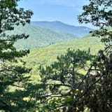 Seneca Rocks Trail, West Virginia - 3,197 Reviews, Map | AllTrails